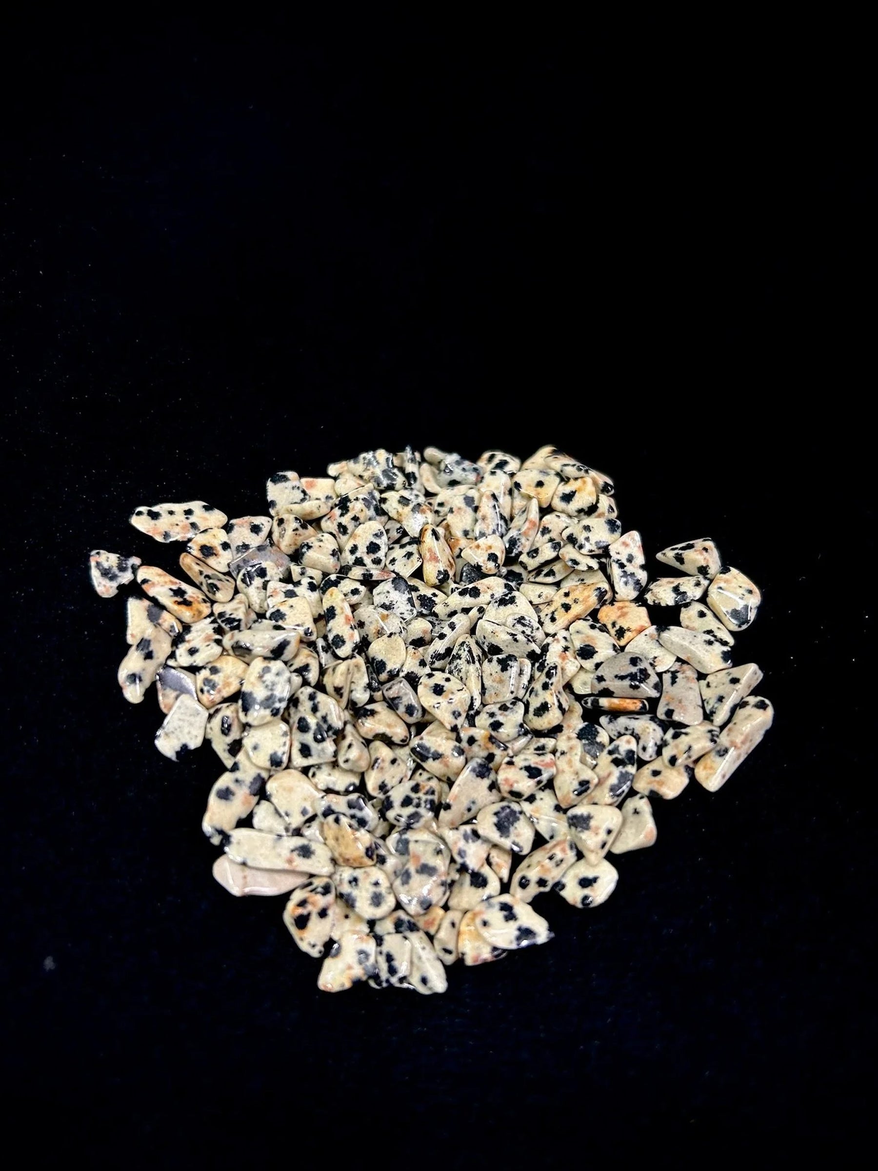 Dalmatian Jasper Chips – Mystic Misfits LLC